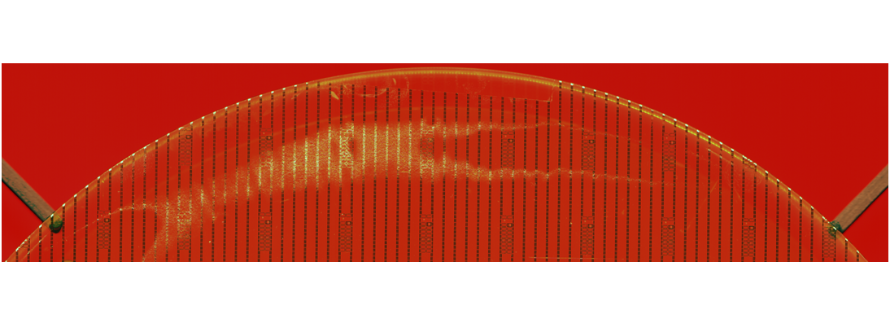 Transparent Wafer Imaging