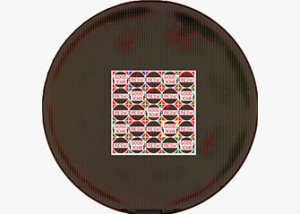 Semiconductor Wafer Defects Library | Full-Color Images