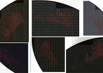 Semiconductor Wafer Defects Library | Full-Color Images